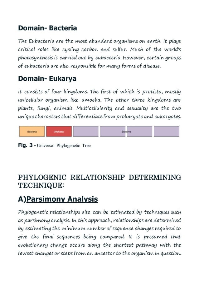 Microbial phylogeny | DOCX | Biological Sciences | Science