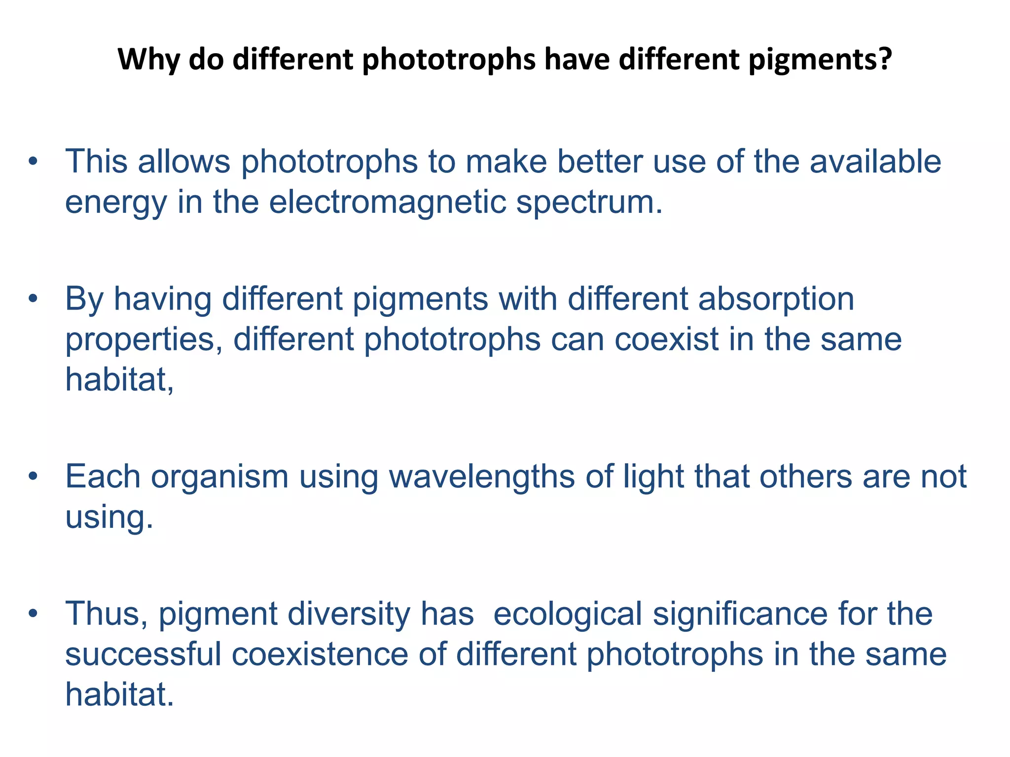 Phototrophy, chemotrophy and autotrophy in prokaryotes | PPT ...