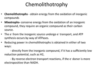 Phototrophy, chemotrophy and autotrophy in prokaryotes | PPT