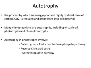 Autotrophic Prokaryotes