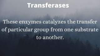 Microbial physiology enzymes | PPTX
