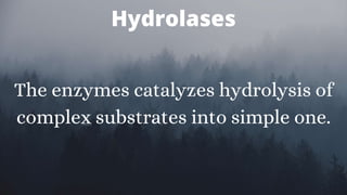 Microbial physiology enzymes | PPTX