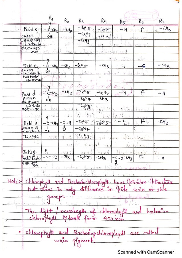 microbial physiology notes (microbio).pdf