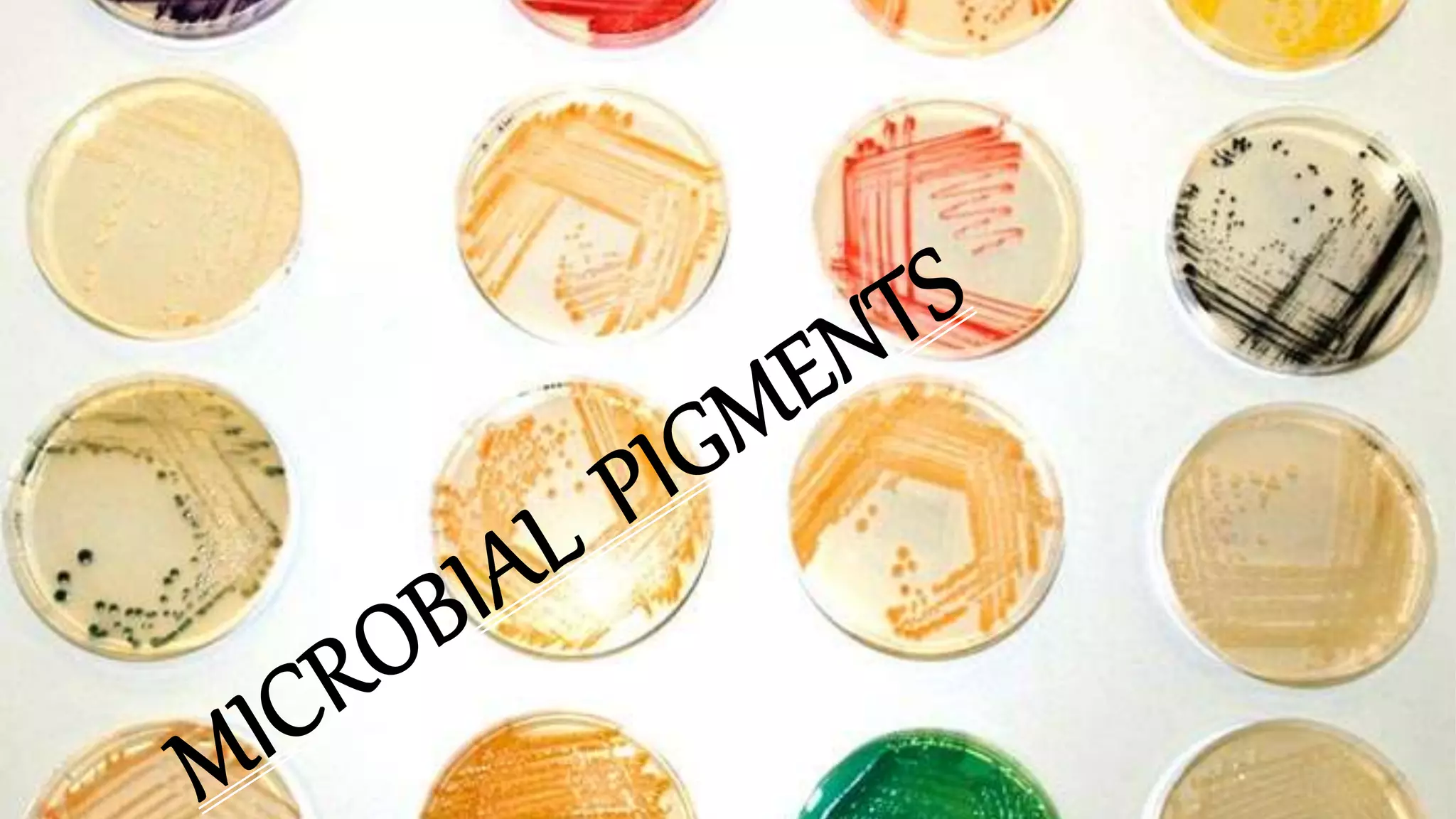 Microbial pigments | PPTX