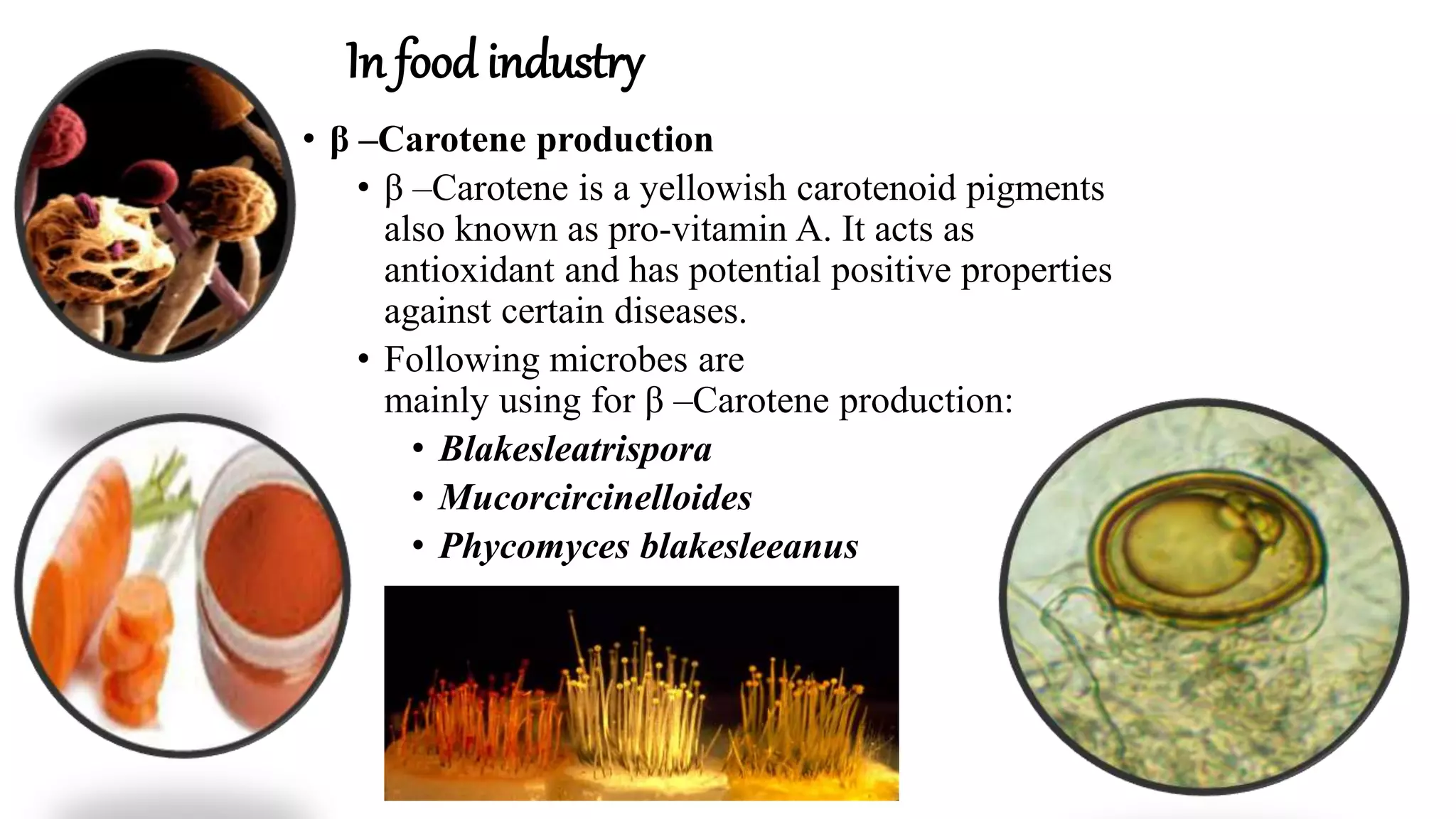 Microbial pigments | PPTX