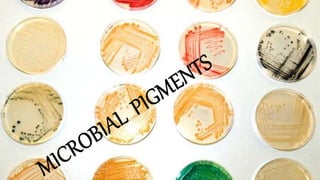 Microbial pigments | PPTX