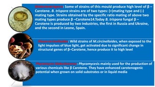 Microbial pigments | PPTX