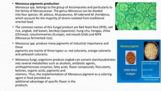 Microbial pigments | PPTX