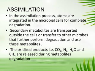 MICROBIAL PLASTICS on environmental microbiology | PPT