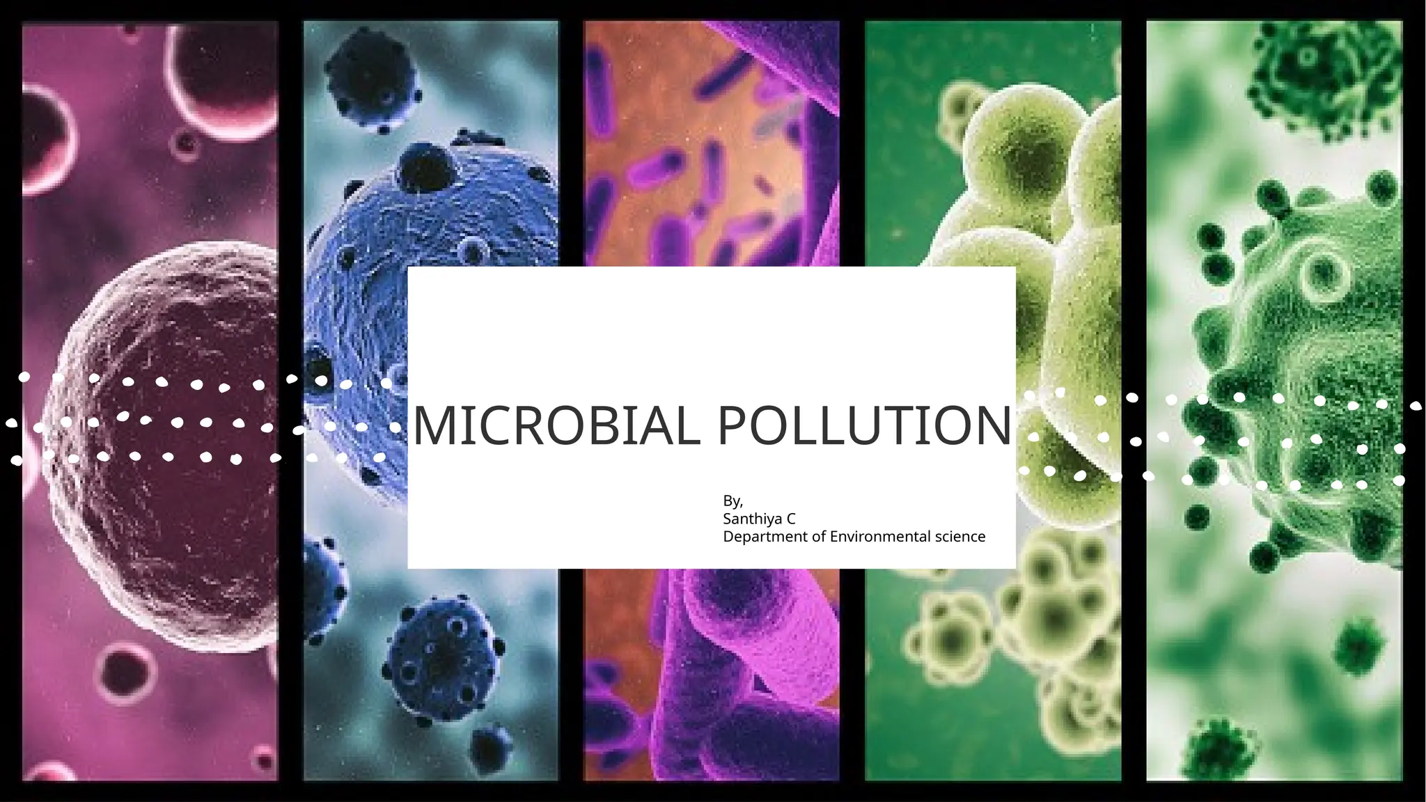 Microbial pollution - sources, impacts and methods of control.pptx