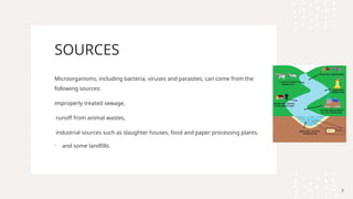 Microbial pollution - sources, impacts and methods of control.pptx