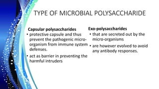 Microbial Polysaccharide - Food Application - Food Industry | PPTX