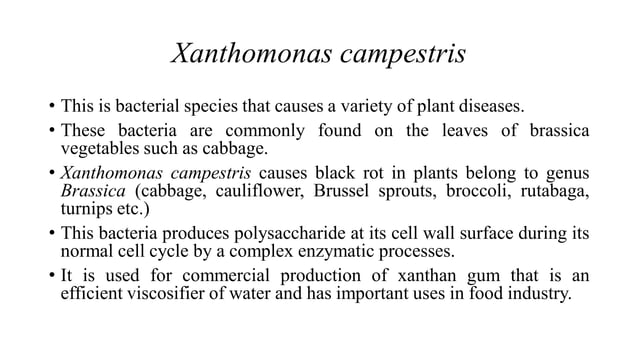 Microbial polysaccharides | PDF | Chemistry | Science