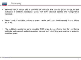 Identification of antibiotic resistance genes in Klebsiella pneumoniae ...