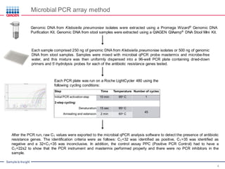 Identification of antibiotic resistance genes in Klebsiella pneumoniae ...