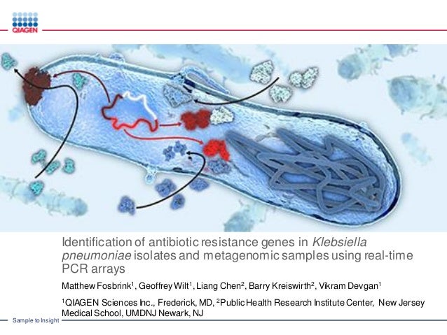 Identification of antibiotic resistance genes in Klebsiella pneumonia…