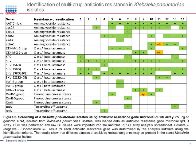 Identification of antibiotic resistance genes in Klebsiella pneumonia…