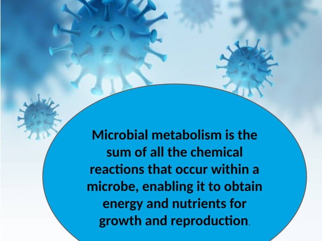 Microbial Metabolism ppt-WPS Office.pptx