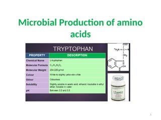 Microbial production of amino acids.pptx