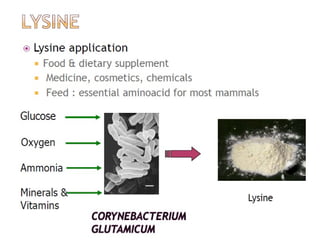 Microbial production of amino acids.pptx