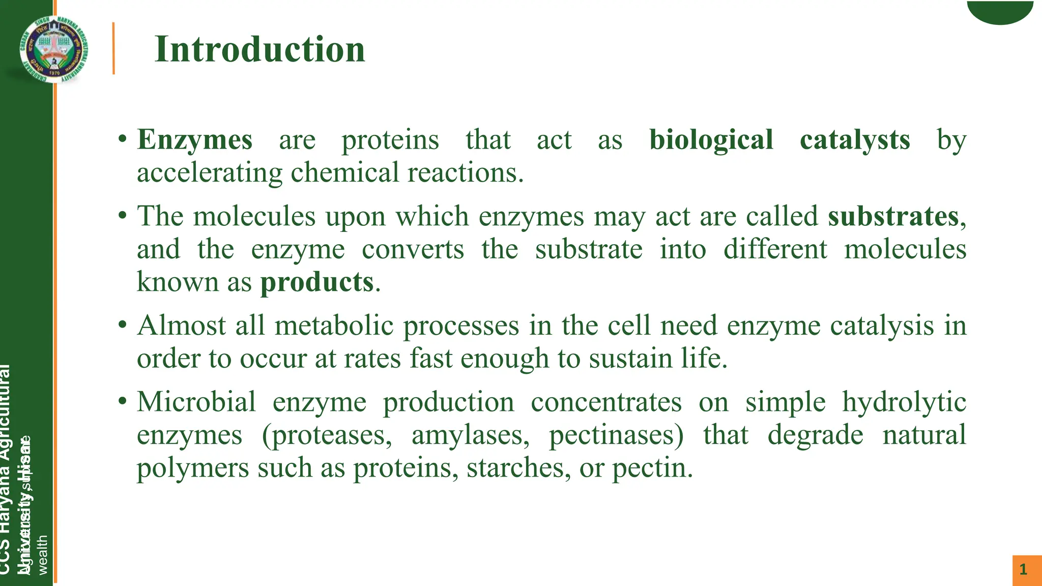 microbial production of enzyme ppt.pptx