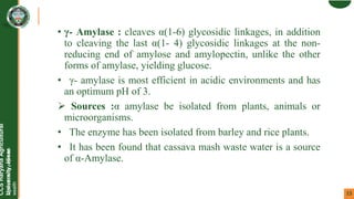 microbial production of enzyme ppt.pptx