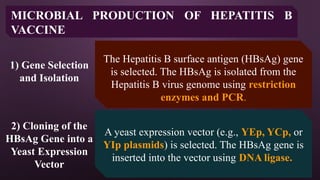 Microbial production of Hepatitis B vaccine.pptx