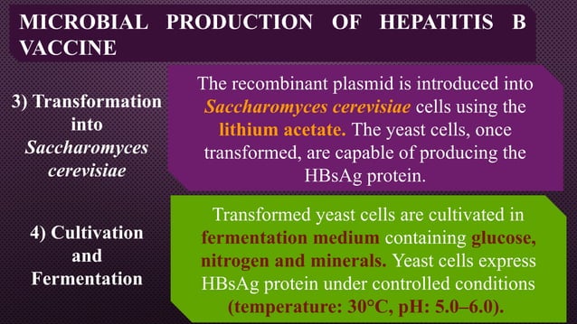 Microbial production of Hepatitis B vaccine.pptx