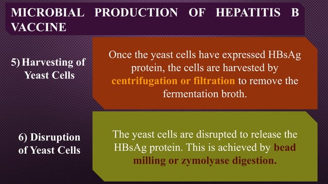 Microbial production of Hepatitis B vaccine.pptx