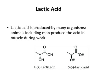 Microbial production of Organic acids.pptx