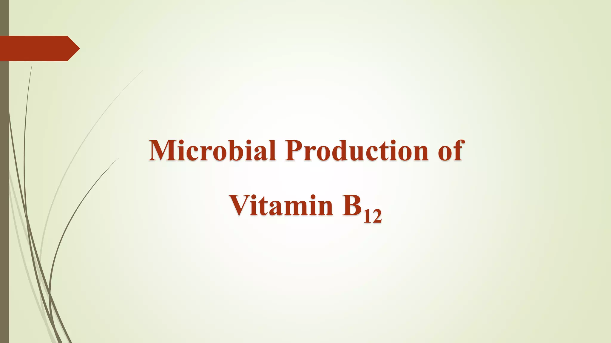 Microbial production of vitamin b12 | PPTX