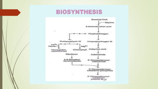 Microbial production of vitamin b12 | PPTX