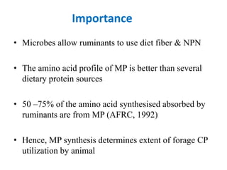 Microbial protein synthesis and its estimation in ruminants | PPTX