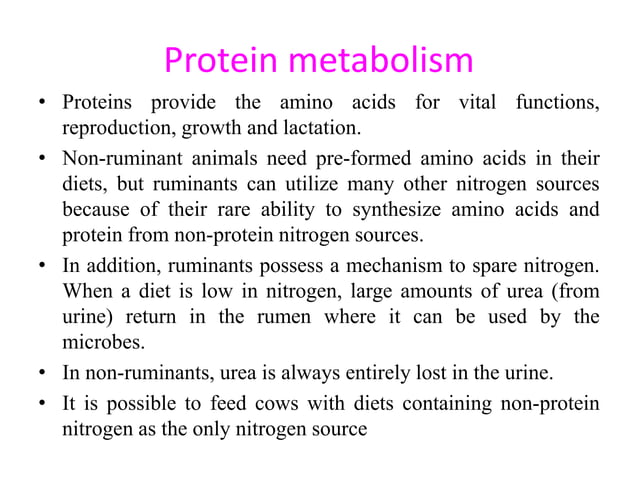 Microbial protein synthesis and its estimation in ruminants | PPTX