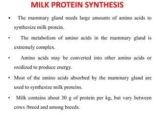 Microbial protein synthesis and its estimation in ruminants | PPTX