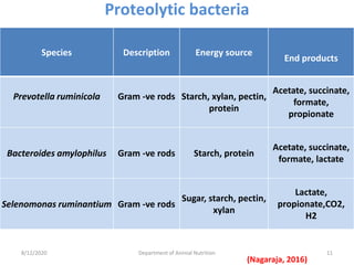 Microbial protein efficiency | PPTX
