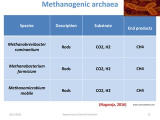 Microbial protein efficiency | PPTX