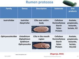Microbial protein efficiency | PPTX