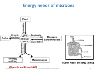 Microbial protein efficiency | PPT