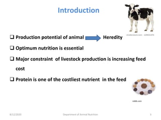 Microbial protein efficiency | PPTX