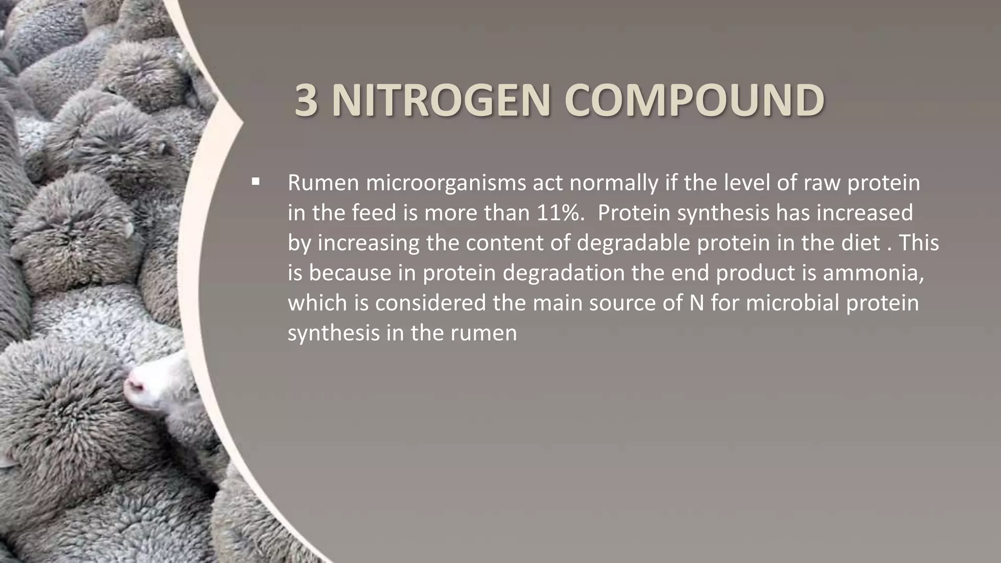 Microbial protein synthesis.pptx