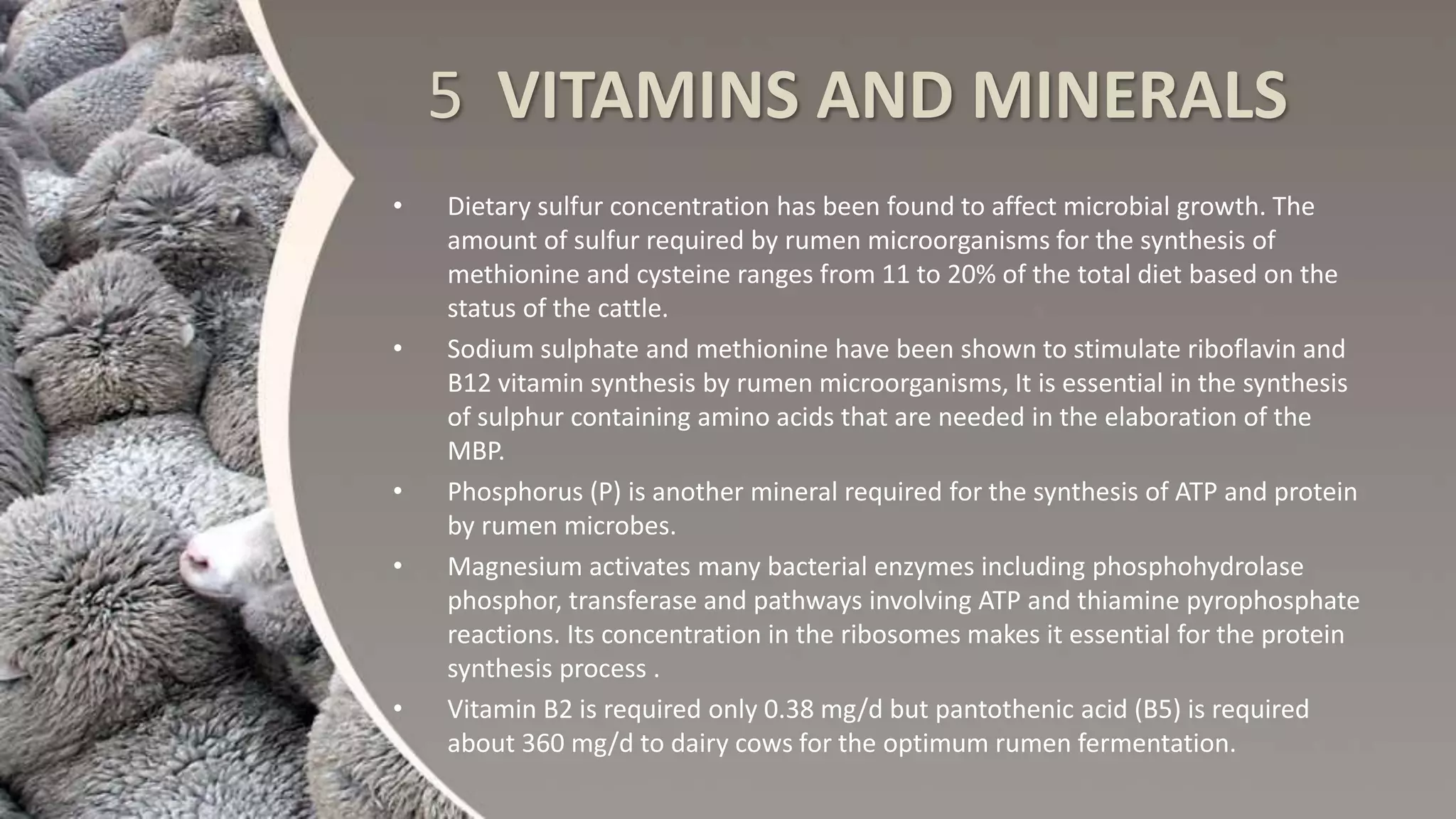 Microbial protein synthesis.pptx
