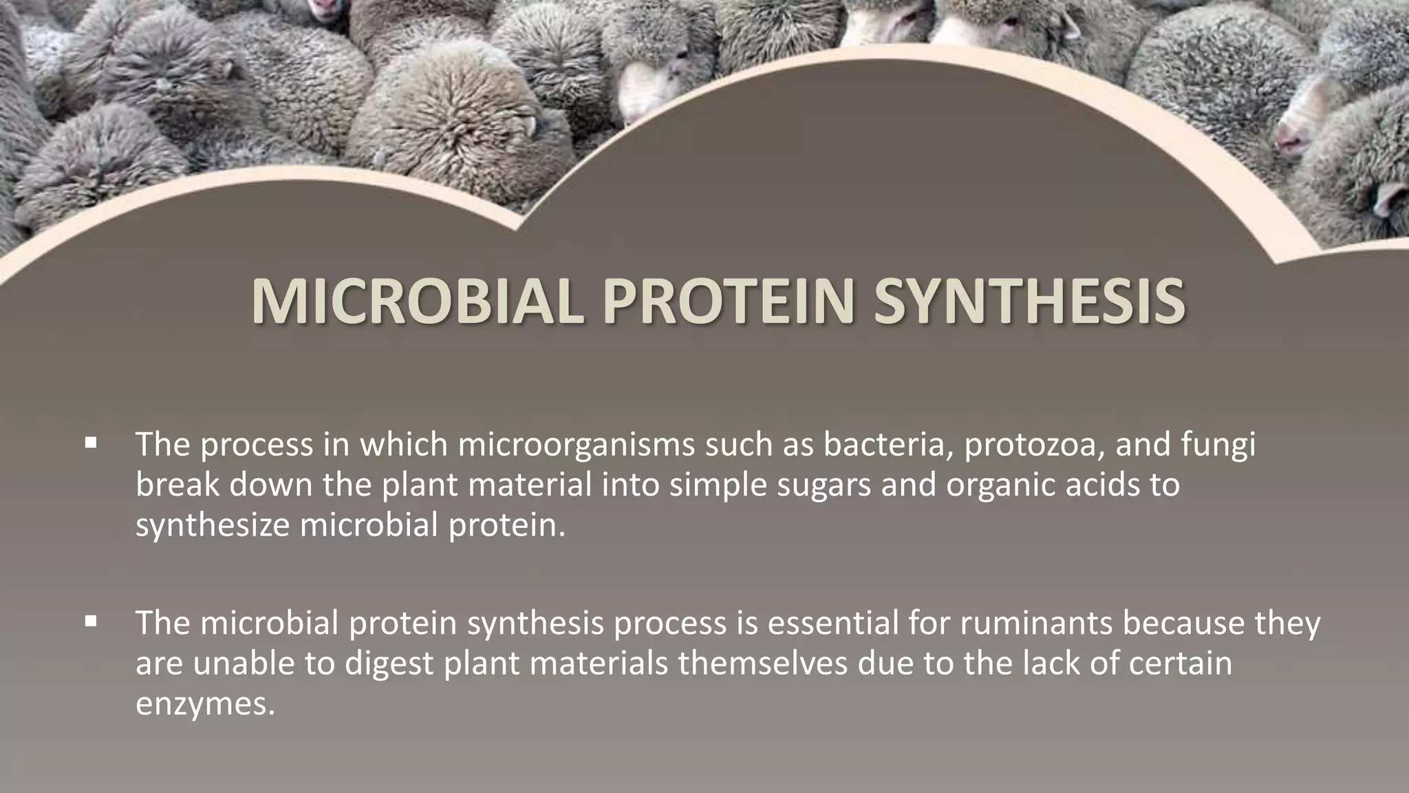 Microbial protein synthesis.pptx | Chemistry | Science