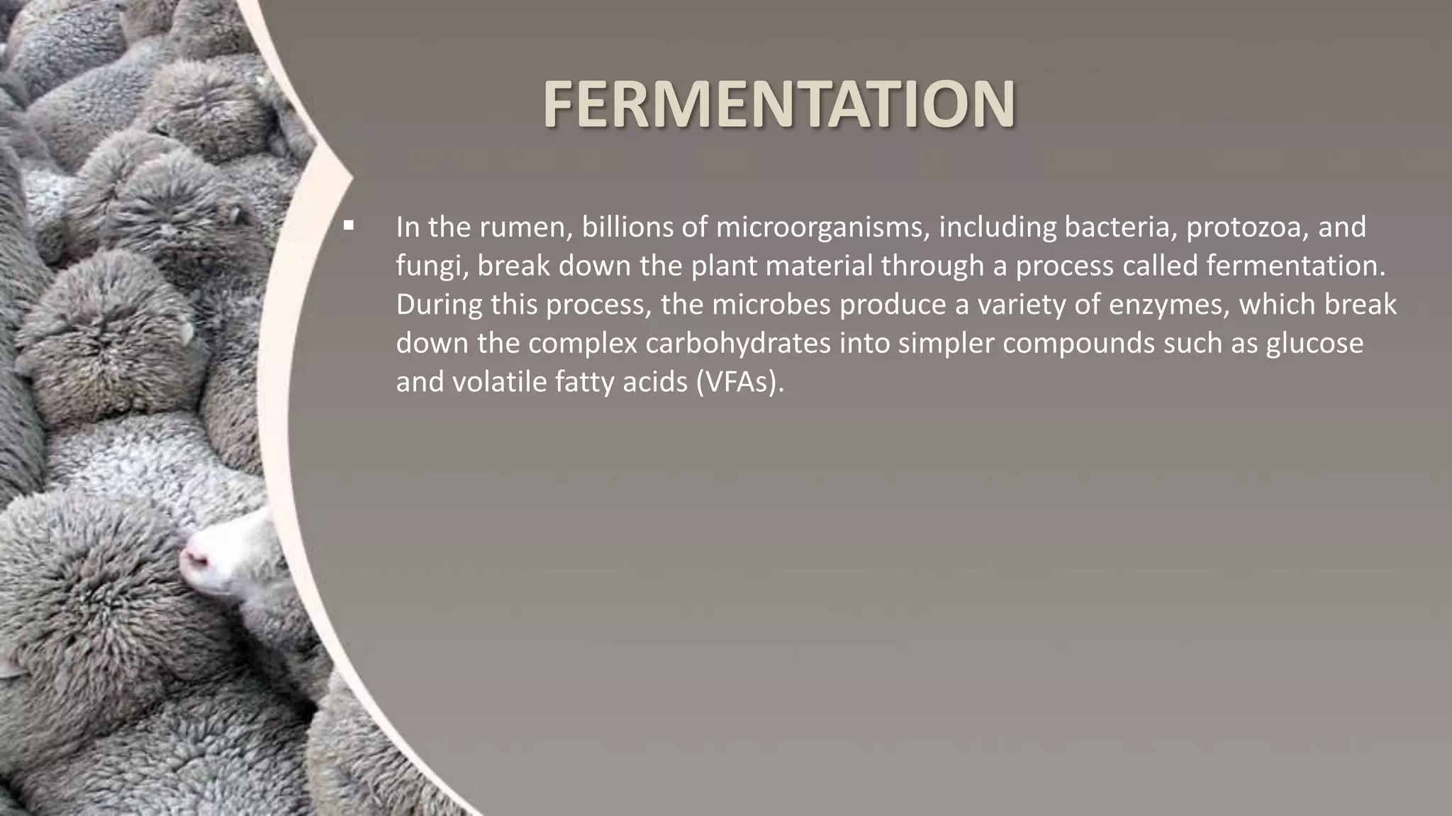 Microbial protein synthesis.pptx