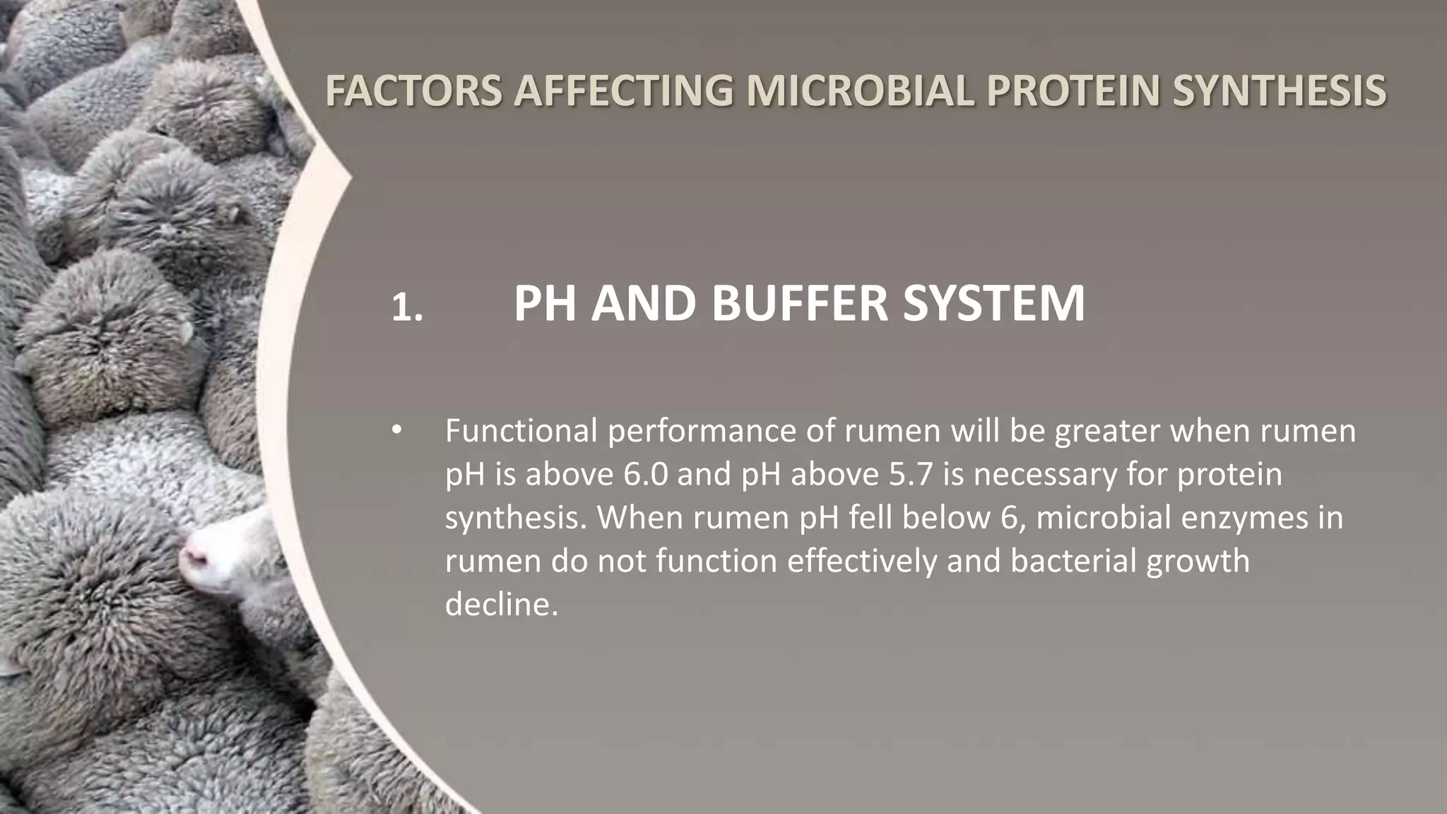 Microbial protein synthesis.pptx