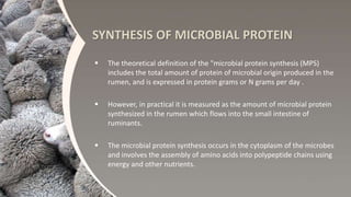 Microbial protein synthesis.pptx | Chemistry | Science