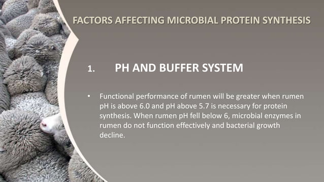 Microbial protein synthesis.pptx | Chemistry | Science