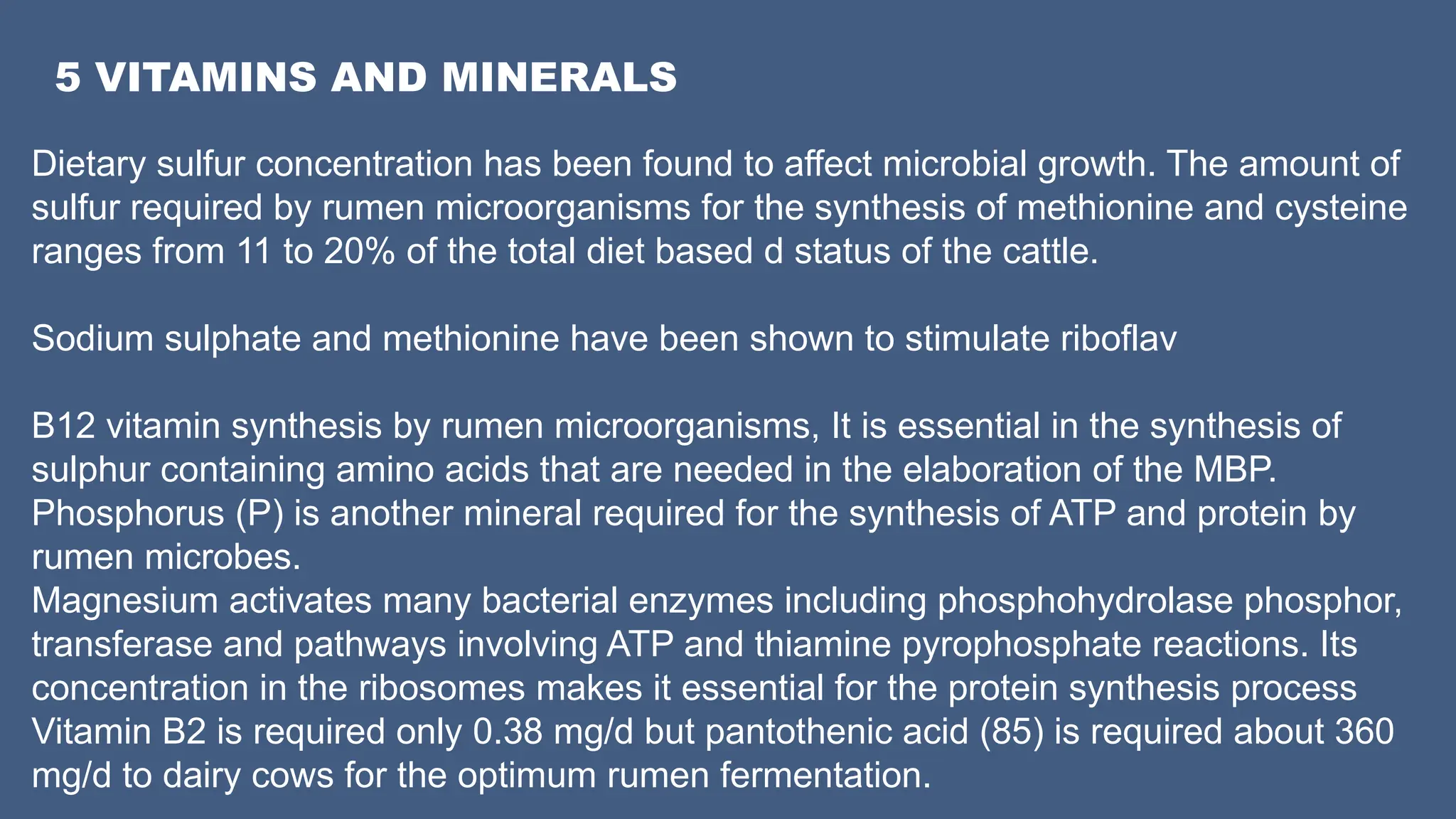 Microbial Protein synthesis in Ruminants | PPTX