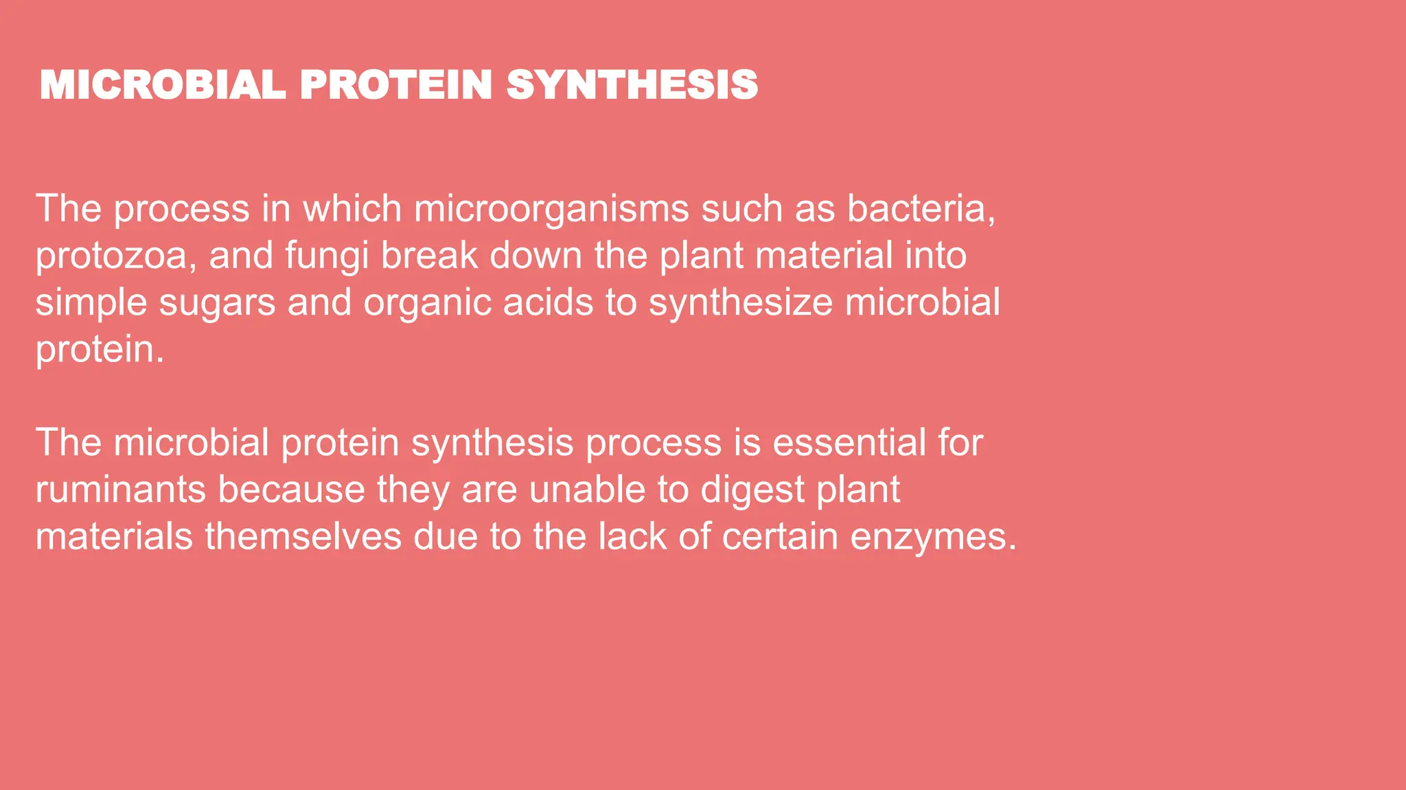 Microbial Protein synthesis in Ruminants | PPTX