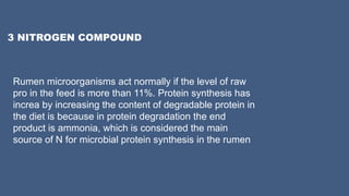 Microbial Protein synthesis in Ruminants | PPTX